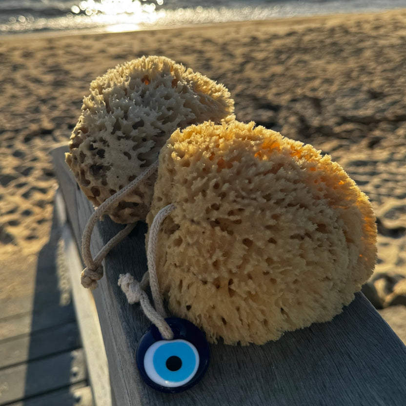 Best Natural Sea Sponge in Australia (2026 Guide) – Aqua Zoi